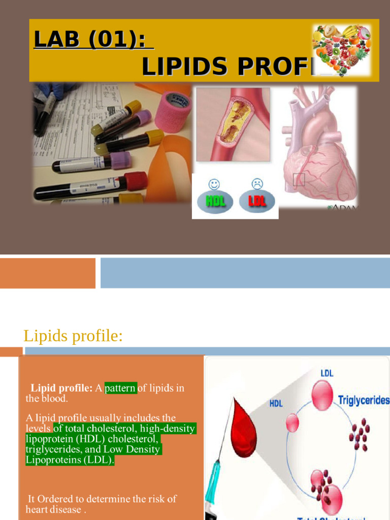 Lipid Profile | PDF