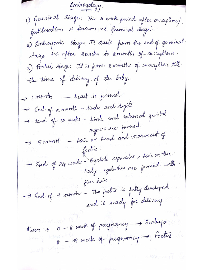 Embryology Notes | PDF