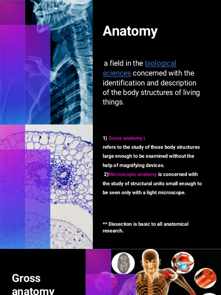 Anatomy First Lec. تمريض-1 | PDF