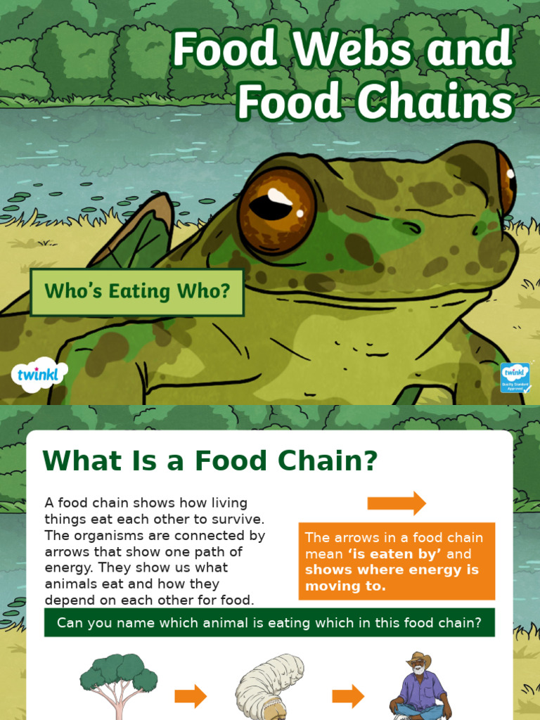 Understanding Food Chains and Webs | PDF | Food Web | Foods