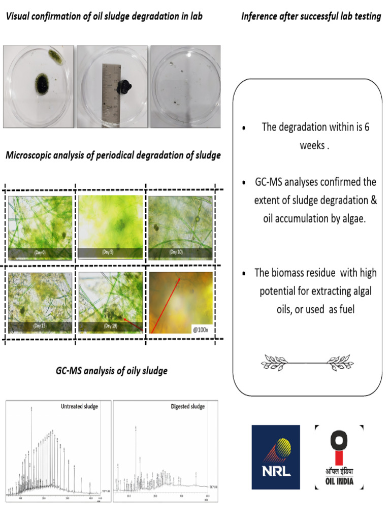 Algal Oil Extraction from Sludge Degradation | PDF