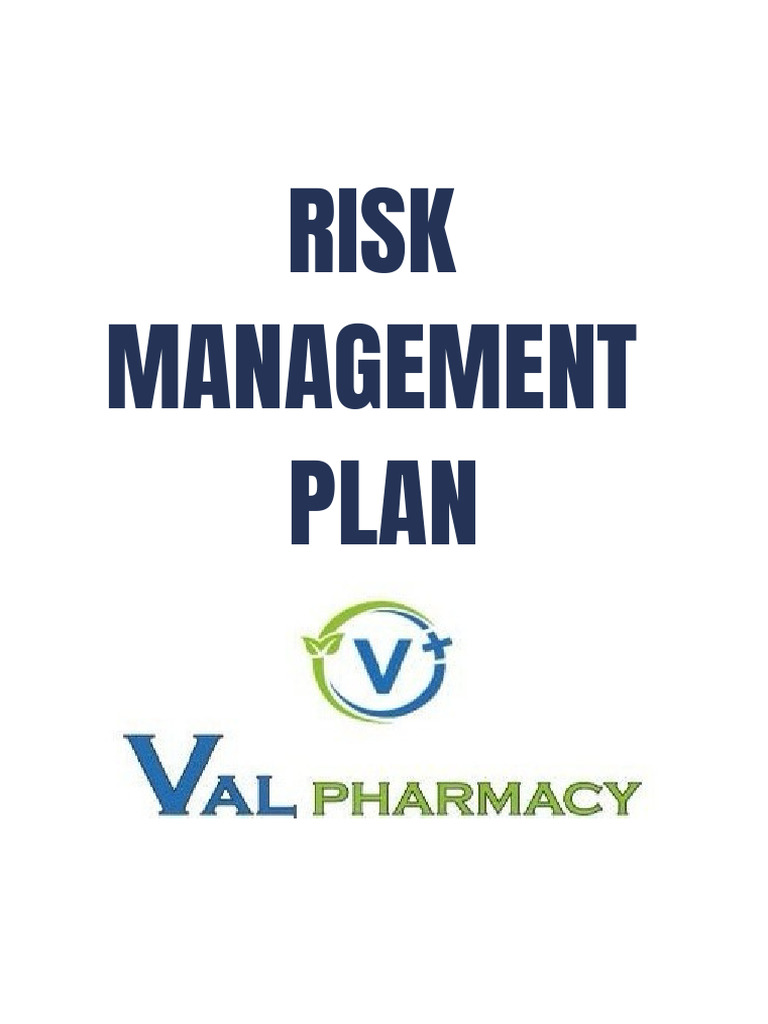 RISK MANAGEMENT PLAN_20250619_114103_0000 | PDF