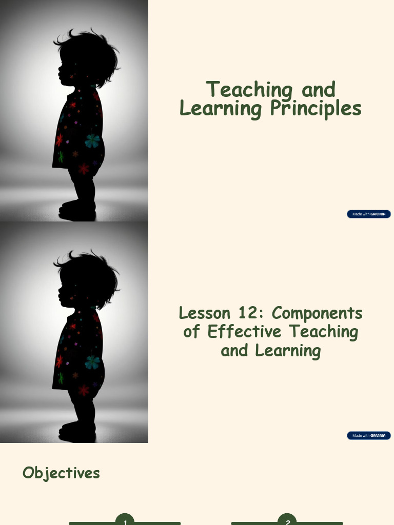Lesson 12- Components of Effective Teaching and Learning | PDF