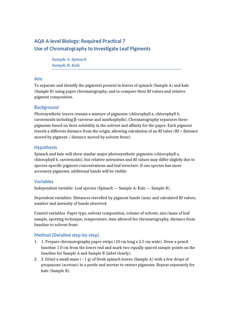 Chromatography of Leaf Pigments: Spinach vs Kale | PDF | Chromatography ...