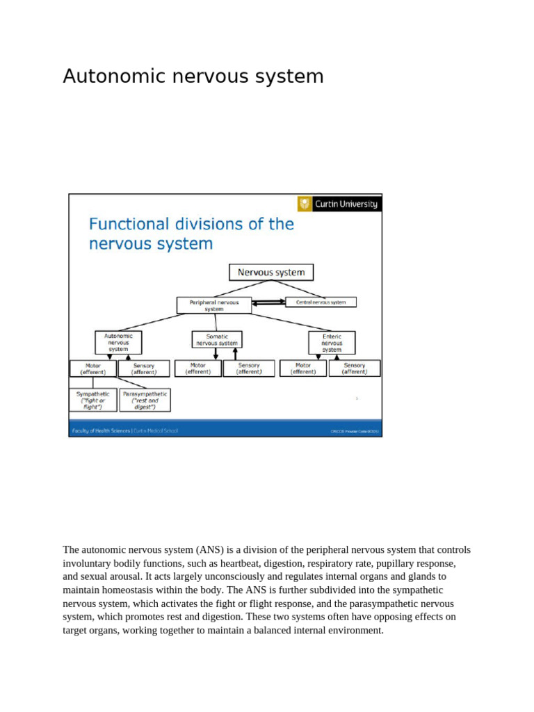 Understanding the Autonomic Nervous System | PDF | Motor Neuron ...