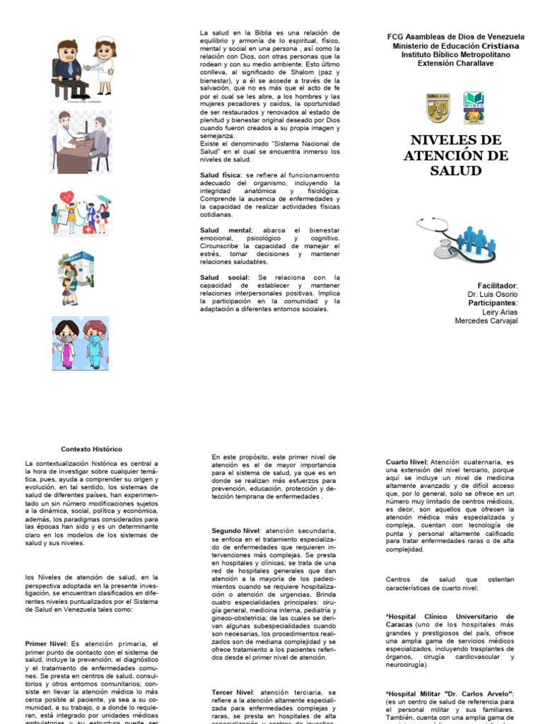 Exp 2 Niveles de Atencion | PDF | Hospital | Cuidado de la salud