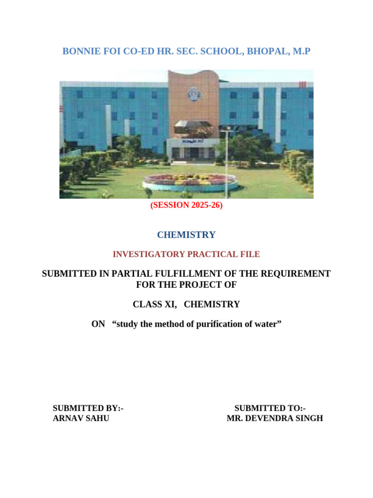 Water Purification Methods Project Report | PDF