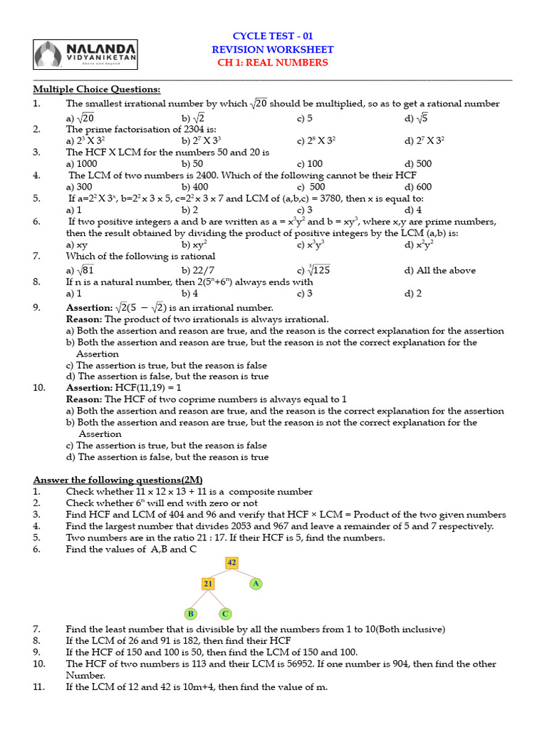 Cycle Test - 01 Revision Worksheet | PDF | Zero Of A Function | Polynomial