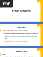 Livestock Judging Techniques Explained | PDF | Livestock | Domesticated ...