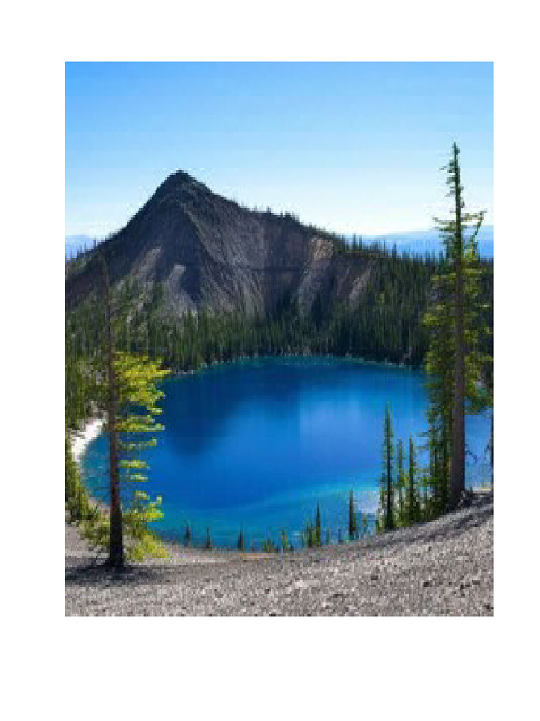 Color and Identify Land and Water | PDF