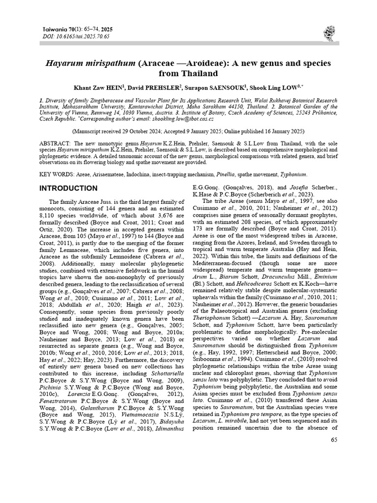 New Genus Hayarum from Thailand | PDF | Leaf | Biology