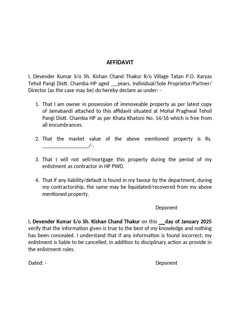 AFFIDavit of Property by Surety | PDF