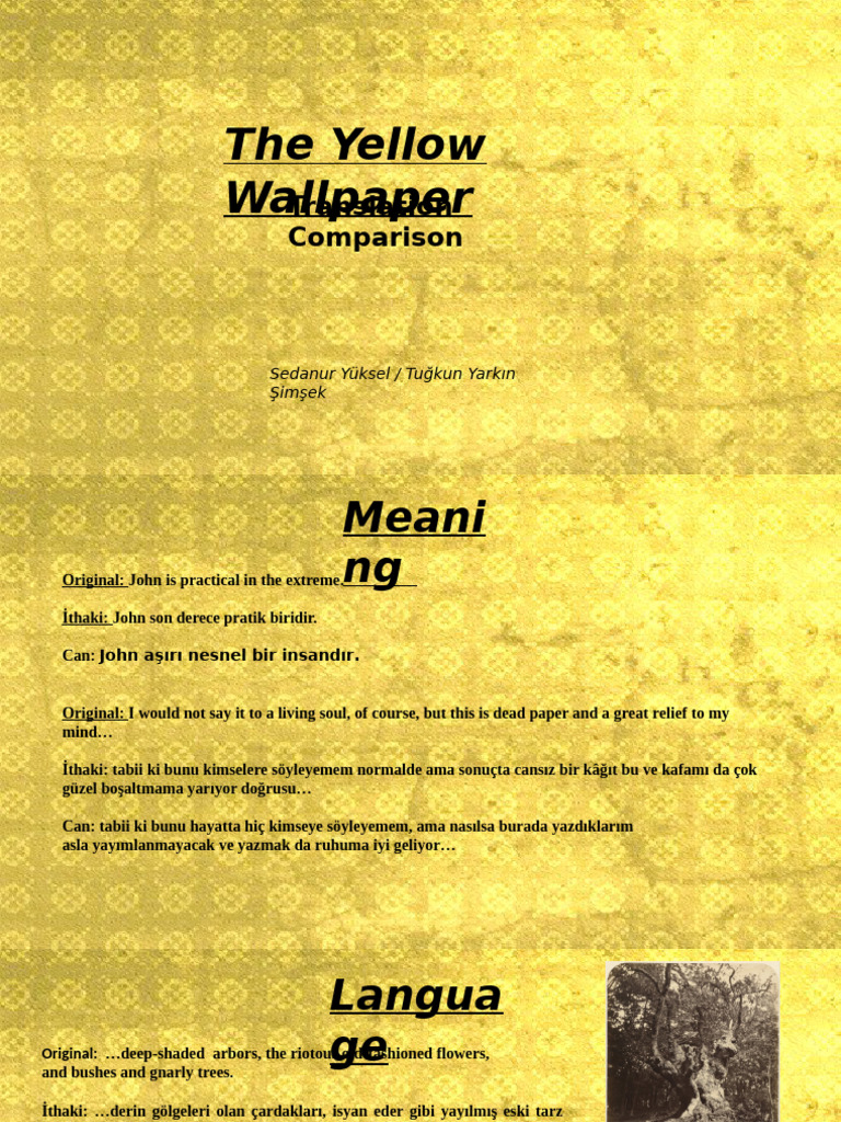 Yellow Wallpaper Midterm | PDF
