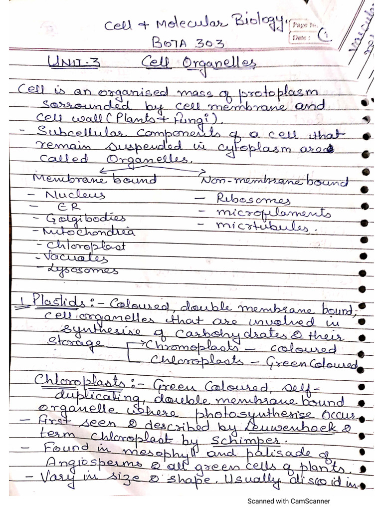 Cell Bio Unit 3 | PDF