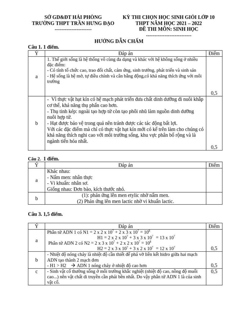 Hướng Dẫn Chấm Đề Thi HSG Sinh Học 10 | PDF