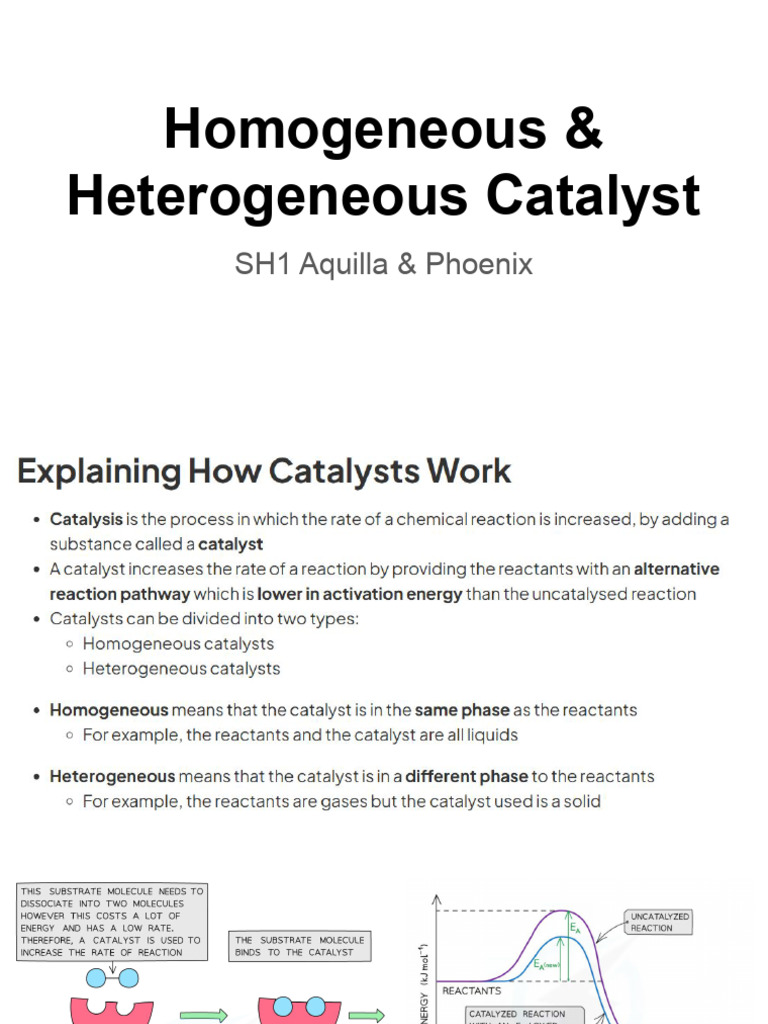 Homogeneous & Heterogeneous Catalyst | PDF