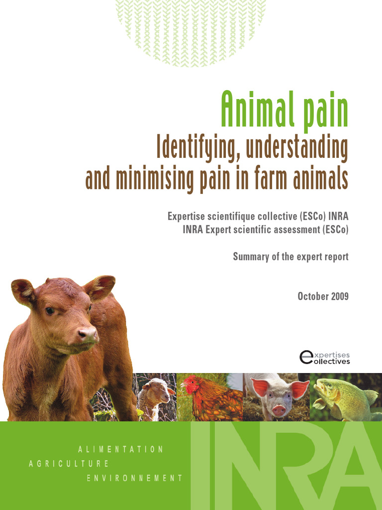INRA(2009)Animal pain Identifying Understanding and minimising pain in ...