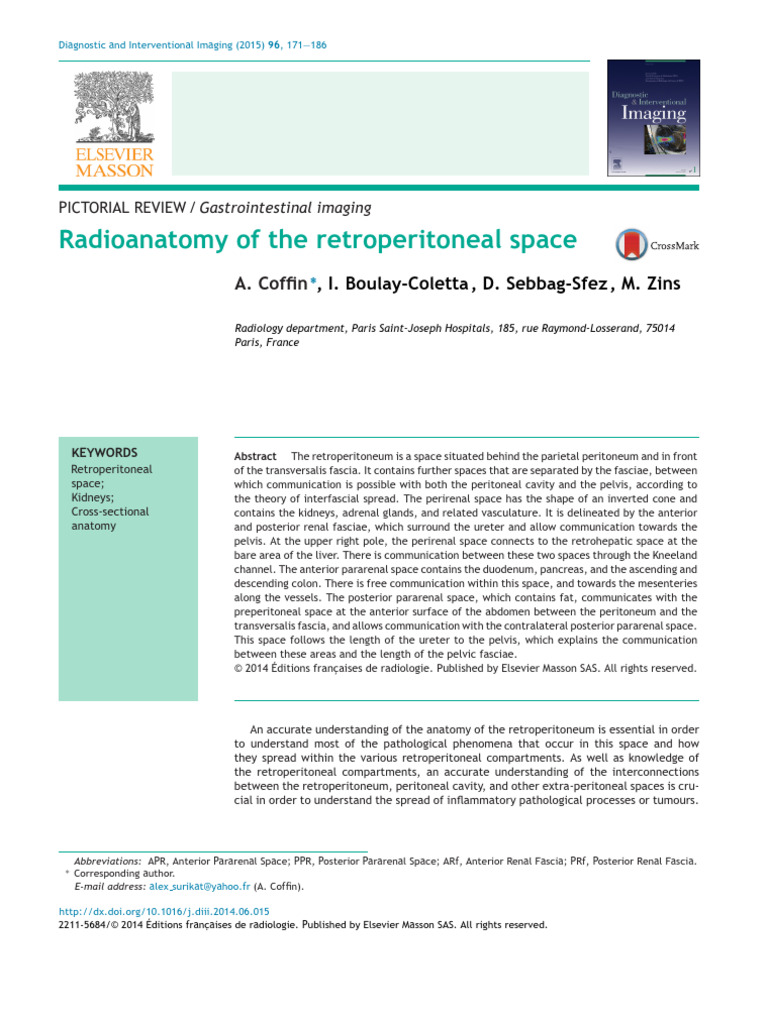 Radioanatomy Retroperitoneal Space | PDF | Peritoneum | Kidney