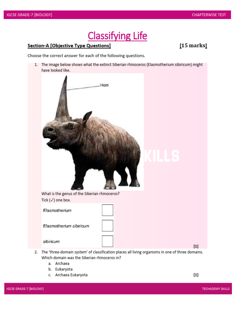 1 Classifying Life | PDF | Pancreas | Genotype