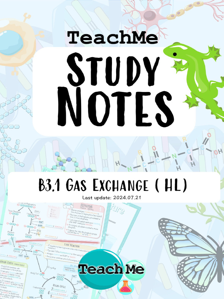 B3.1 Gas Exchange (HL) | PDF | Hemoglobin | Red Blood Cell