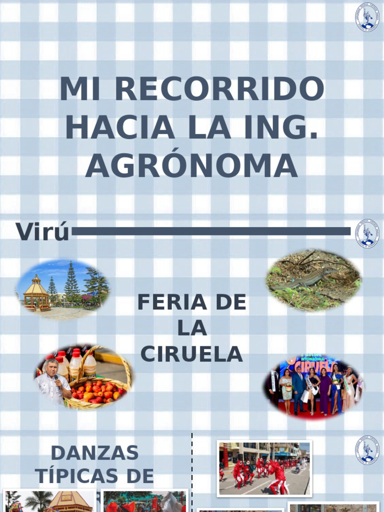 MI RECORRIDO HACIA LA ING. AGRONOMA - GUZMAN RAVINES ANDREA | PDF