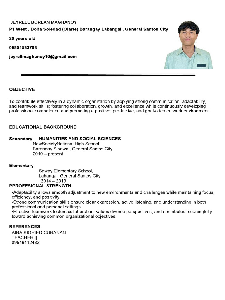 Copy-of-Jeyrell-Borlan-Maghanoy-RESUME.docx_20251112_183812_0000.pdf ...