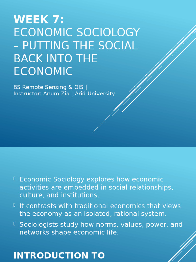 Week_7_Economic_Sociology_Presentation | PDF
