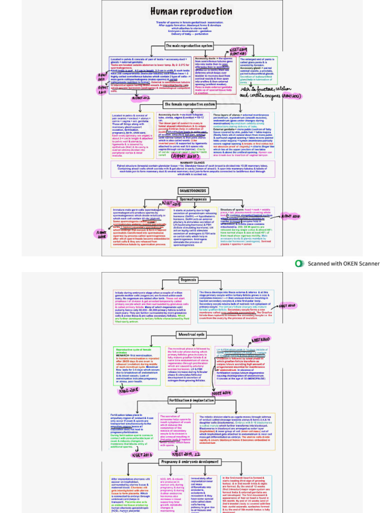 Human Reproduction Mind Map | PDF
