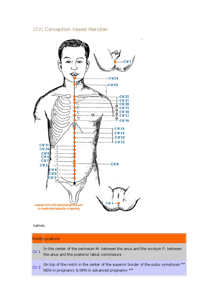 Conception Vessel Meridian Points Guide | PDF | Medical Specialties ...
