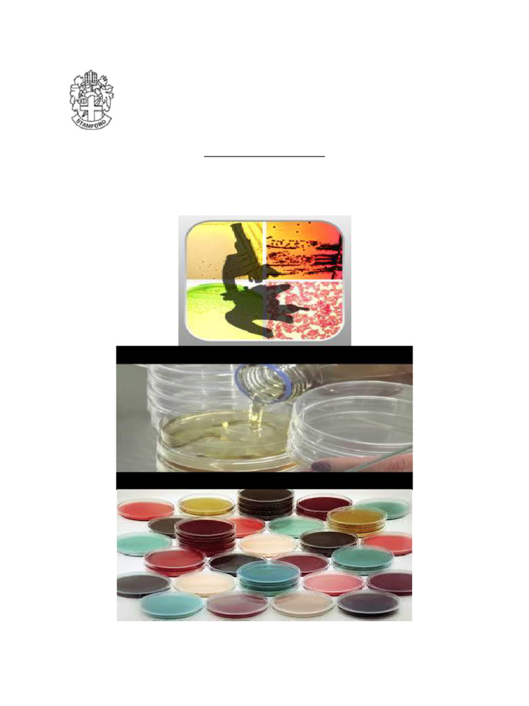 Basic Technique In Microbiology Lab Pdf Sterilization Microbiology