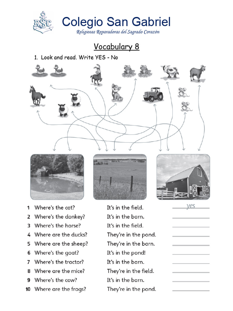 Worksheet 2do- Unit 8 | PDF