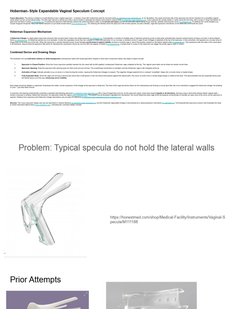 Speculum Proposal (1) | PDF