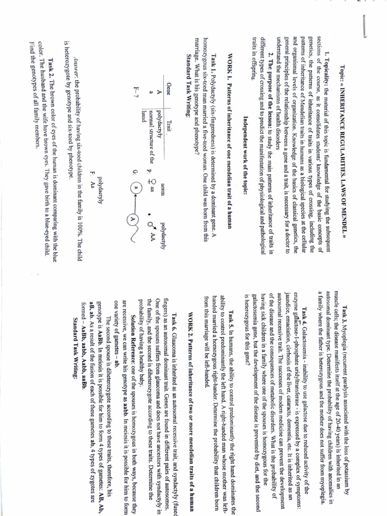 Inheritance Work Topic | PDF | Genotype | Dominance (Genetics)