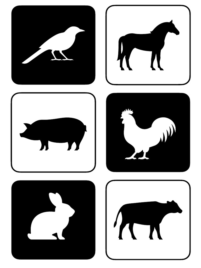 High Contrast Baby Cards | PDF