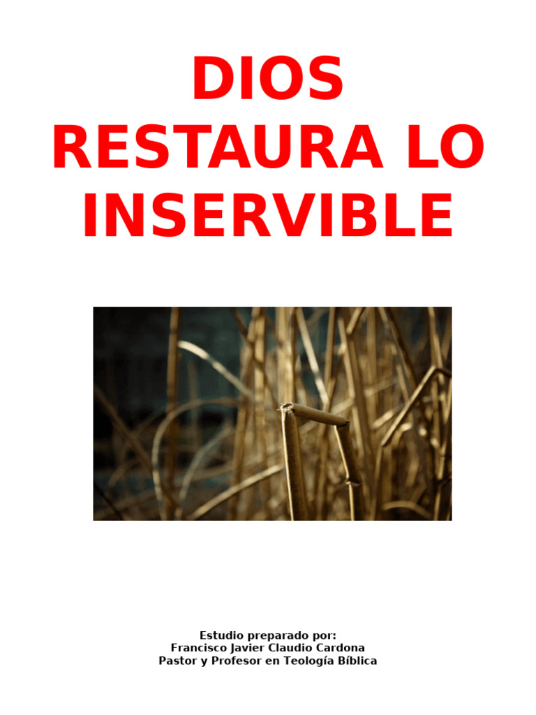 Dios Restaura Lo Inservible | PDF | Jesús | Evangelio de Mateo
