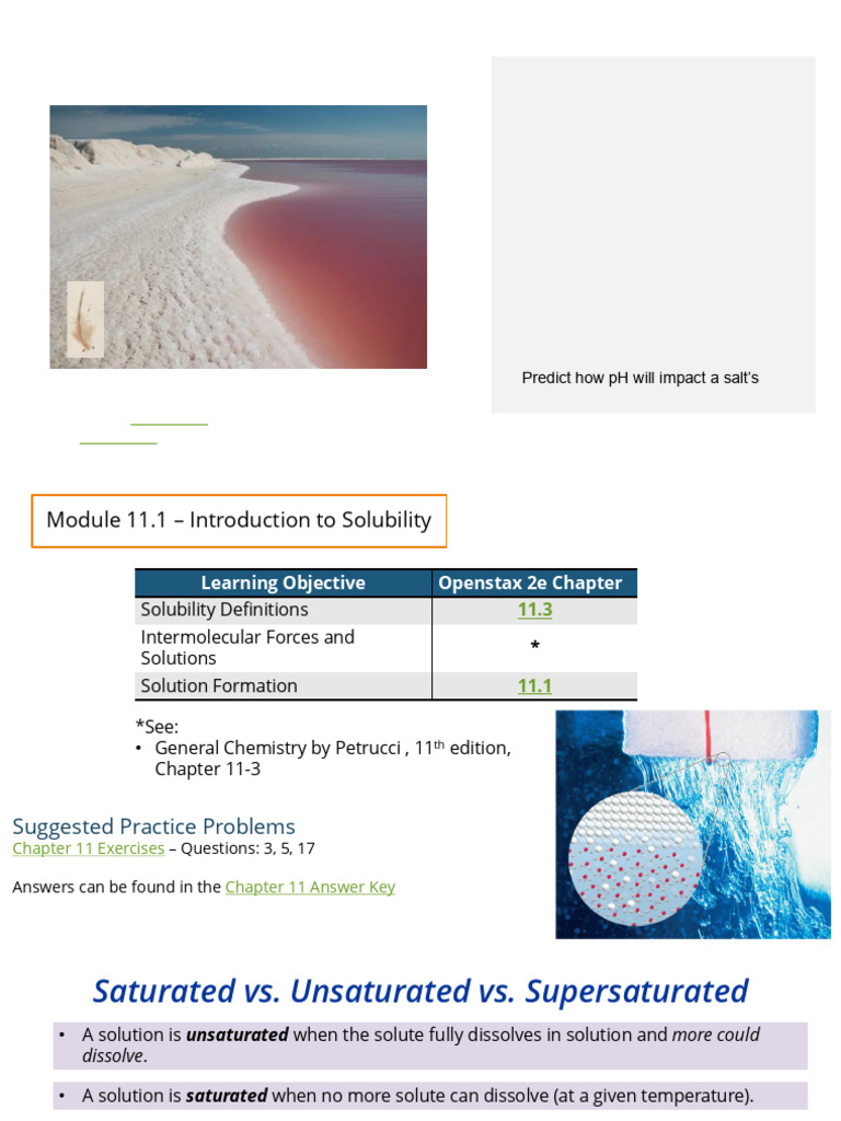 Mod11-Solubility Student Version 2025-2 | PDF | Solubility | Solvation