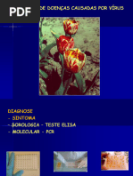 PATOLOGIA SEMENTES | PDF