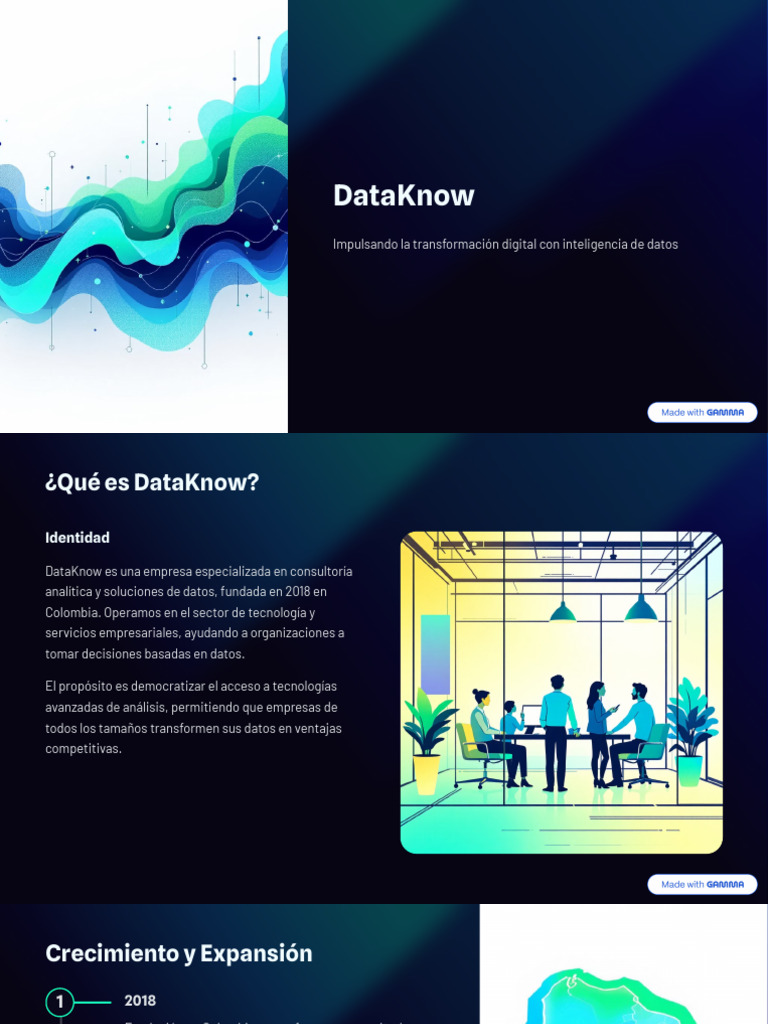 DataKnow: Consultoría Analítica en LATAM | PDF | Business | Economias