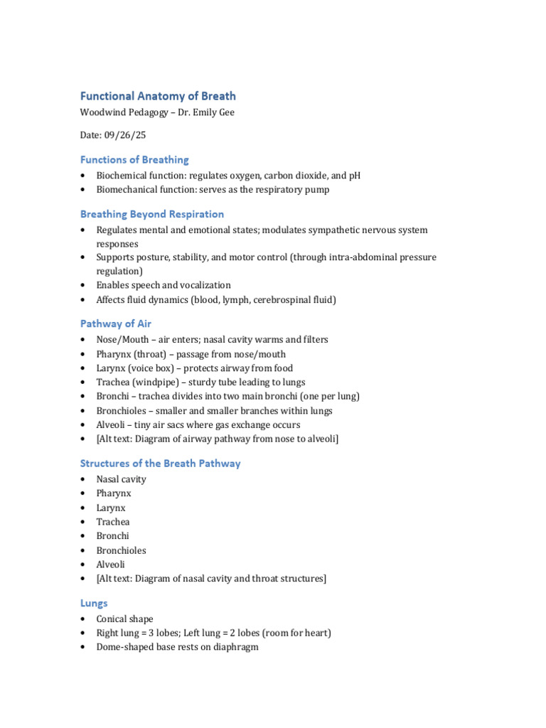 Anatomy and Mechanics of Breathing | PDF | Respiratory Tract | Lung