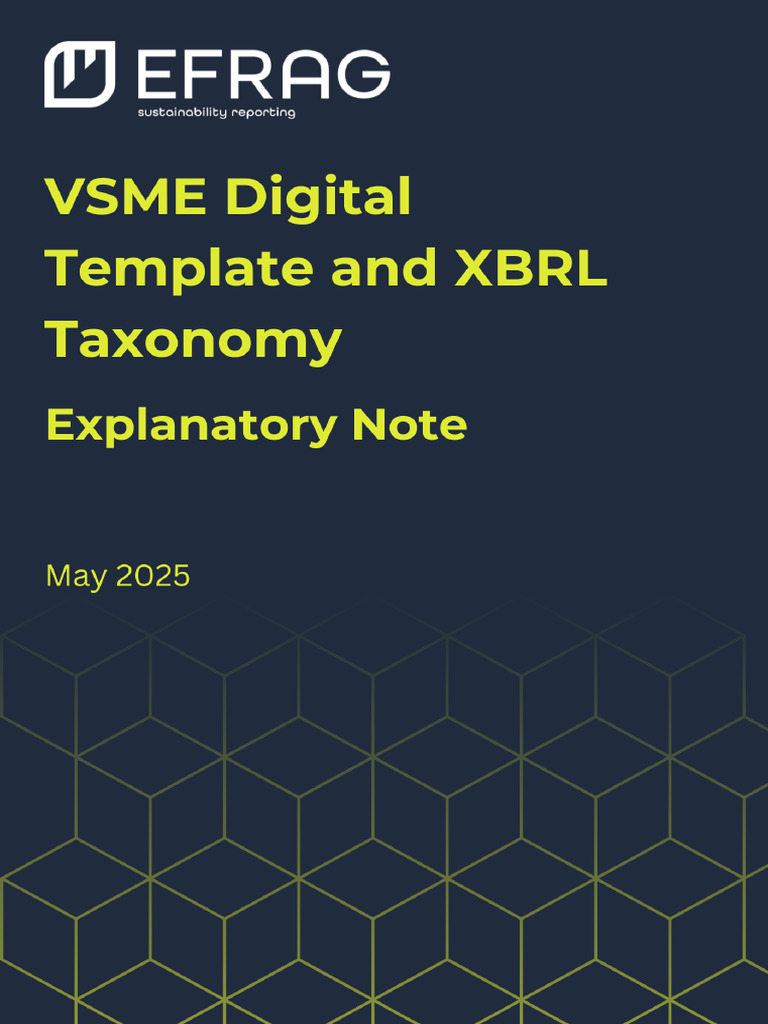 VSME Digital Template & XBRL Taxonomy Guide | PDF | Microsoft Excel ...