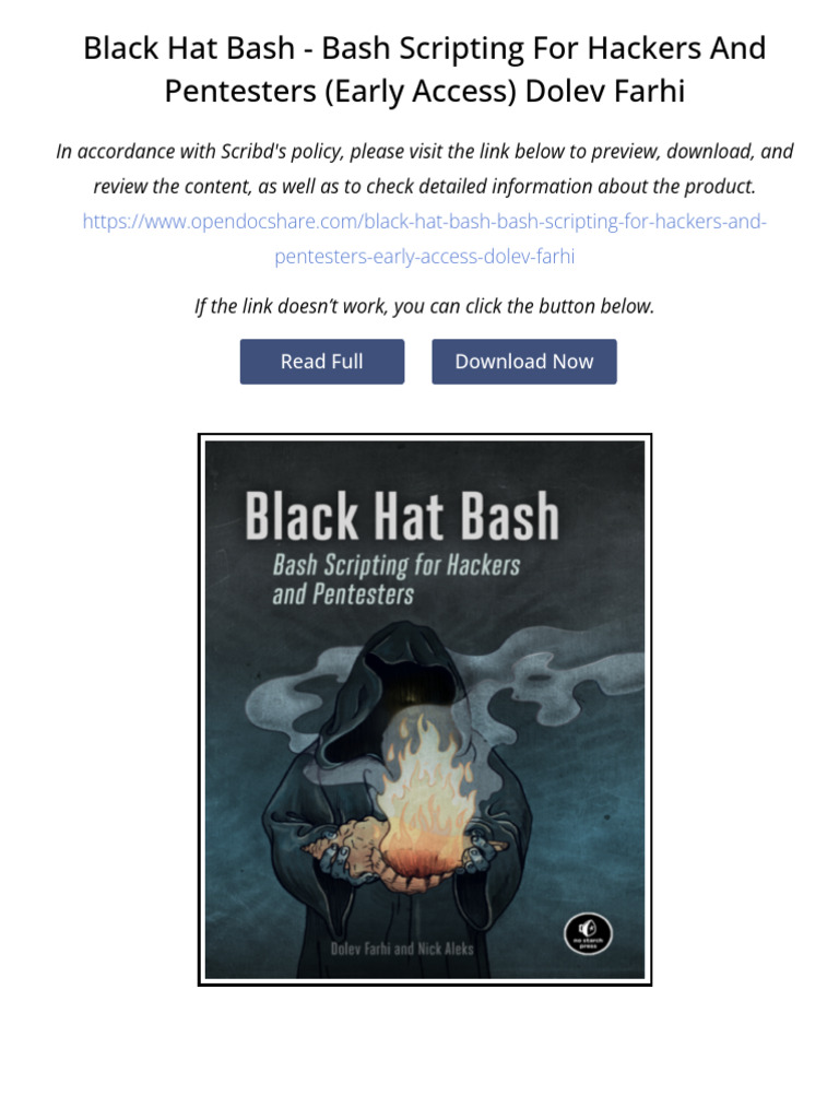 Black Hat Bash - Bash Scripting for Hackers and Pentesters (Early ...