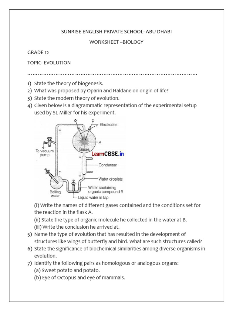 Worksheet Evolution | PDF | Natural Selection | Evolution