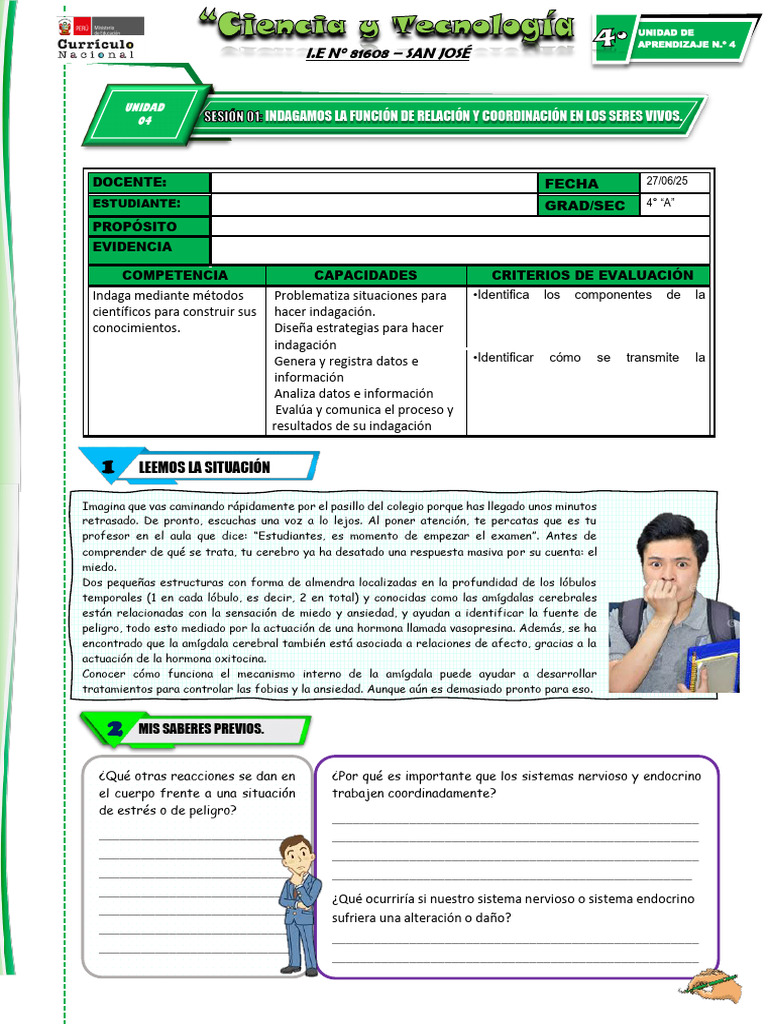 A-4º Act 1-Cyt-und 4- Sem 1 | PDF | Sistema endocrino | Cerebro