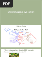 Virtual Lab_ Nematodes (Roundworms) | PDF