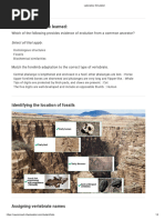 Virtual Lab_ Platyhelminthes (Flatworms), Rotifers, And Water Bears | PDF