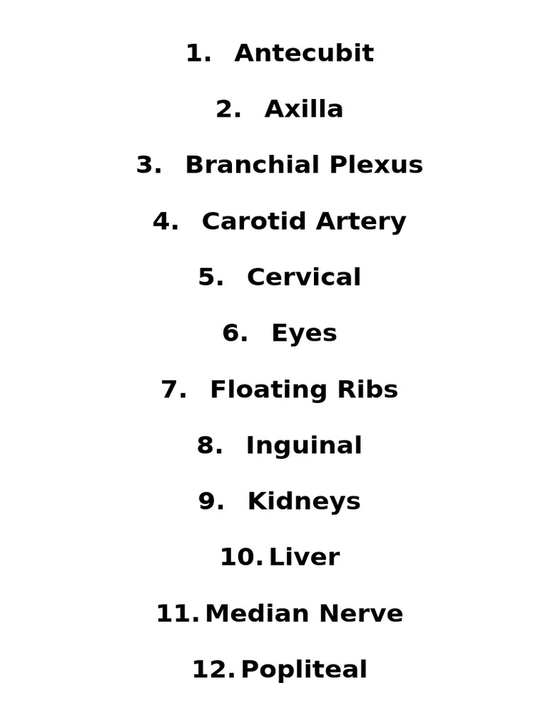 Anatomy Terms and Body Parts List | PDF