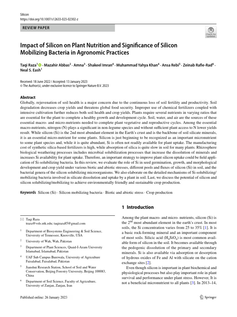 Silicon Paper | PDF | Soil | Silicon