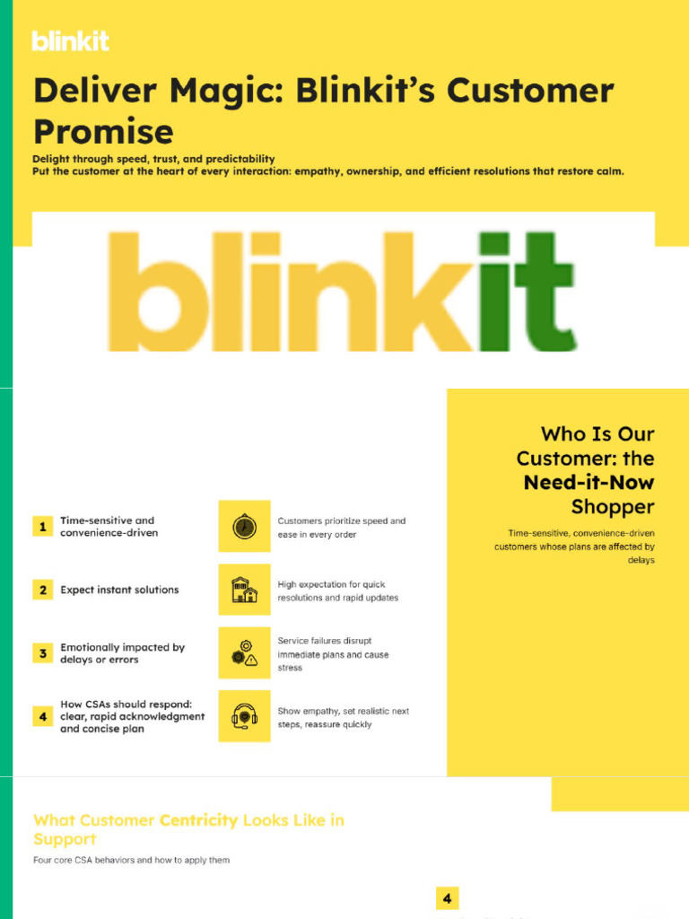 Blinkit: Quick Commerce Insights | PDF