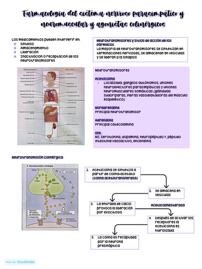 Farmacología de opioides | PDF | Opioide | Analgésico