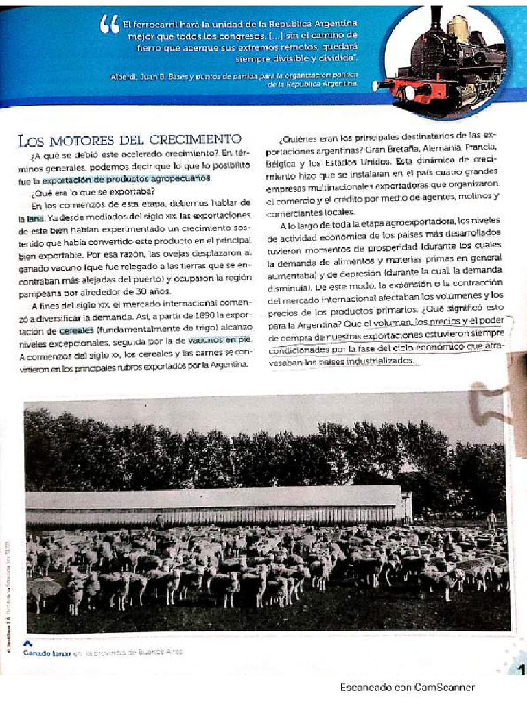 Argentina modelo exportador-1880 (1) | PDF